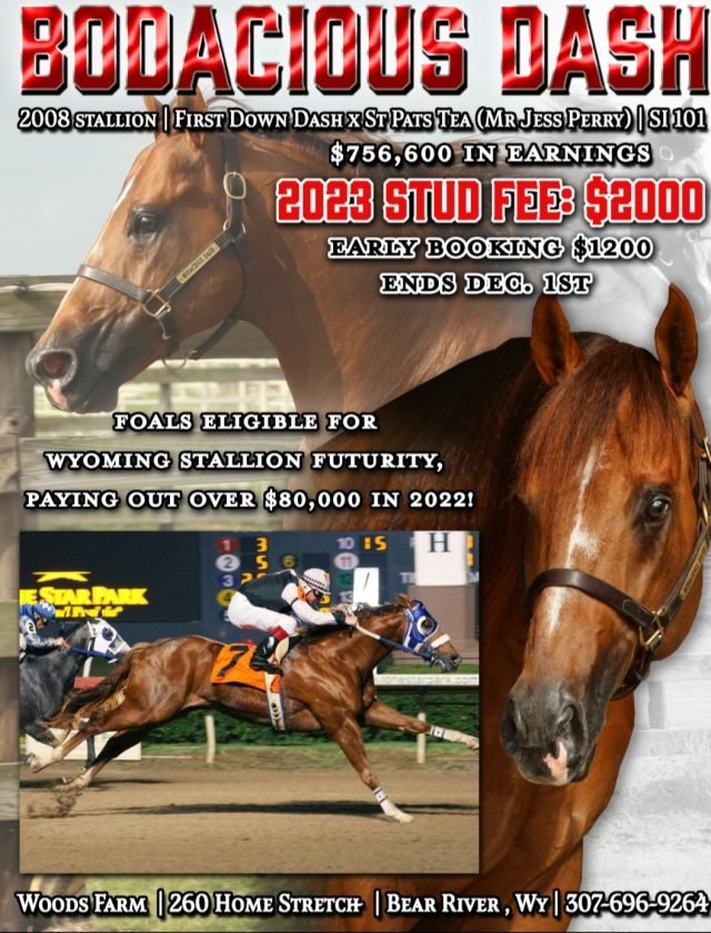 Bodacious Dash SI 101 | MQHRA