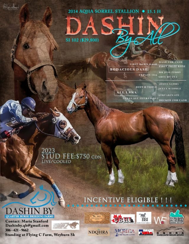 Dashin By All SI 102 | MQHRA