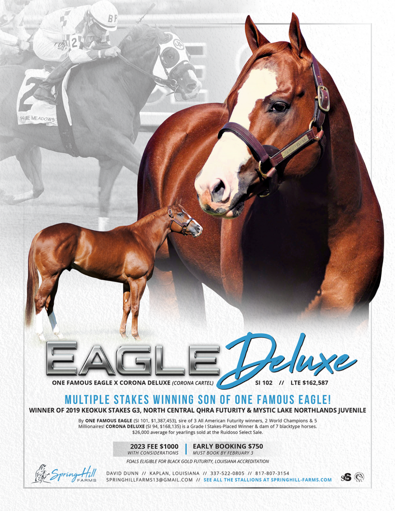 Eagle Deluxe SI 102 | MQHRA